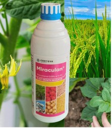 Miraculan - 100 ml