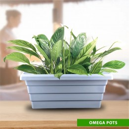 24inch omega pot white color