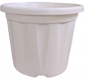 12 inch Nursery Pot white colour
