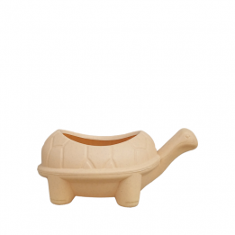 tortoise pot biege color color